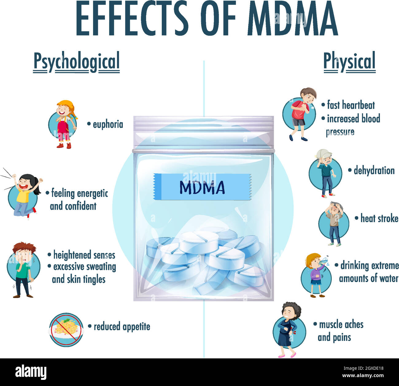 Efectos De La Infografía De Mdma éxtasis Imagen Vector De Stock Alamy