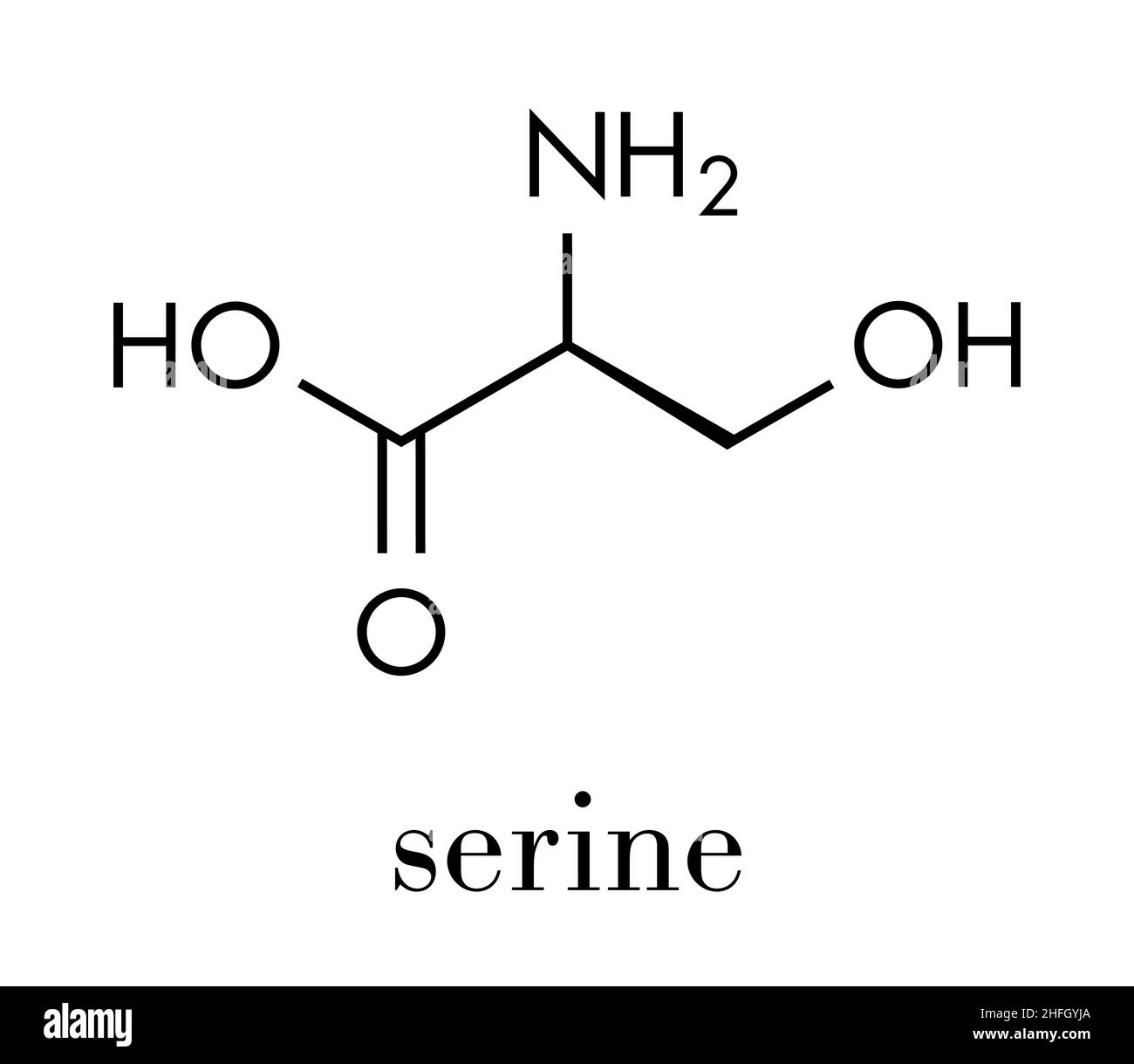 Serina Para Que Serve - RETOEDU