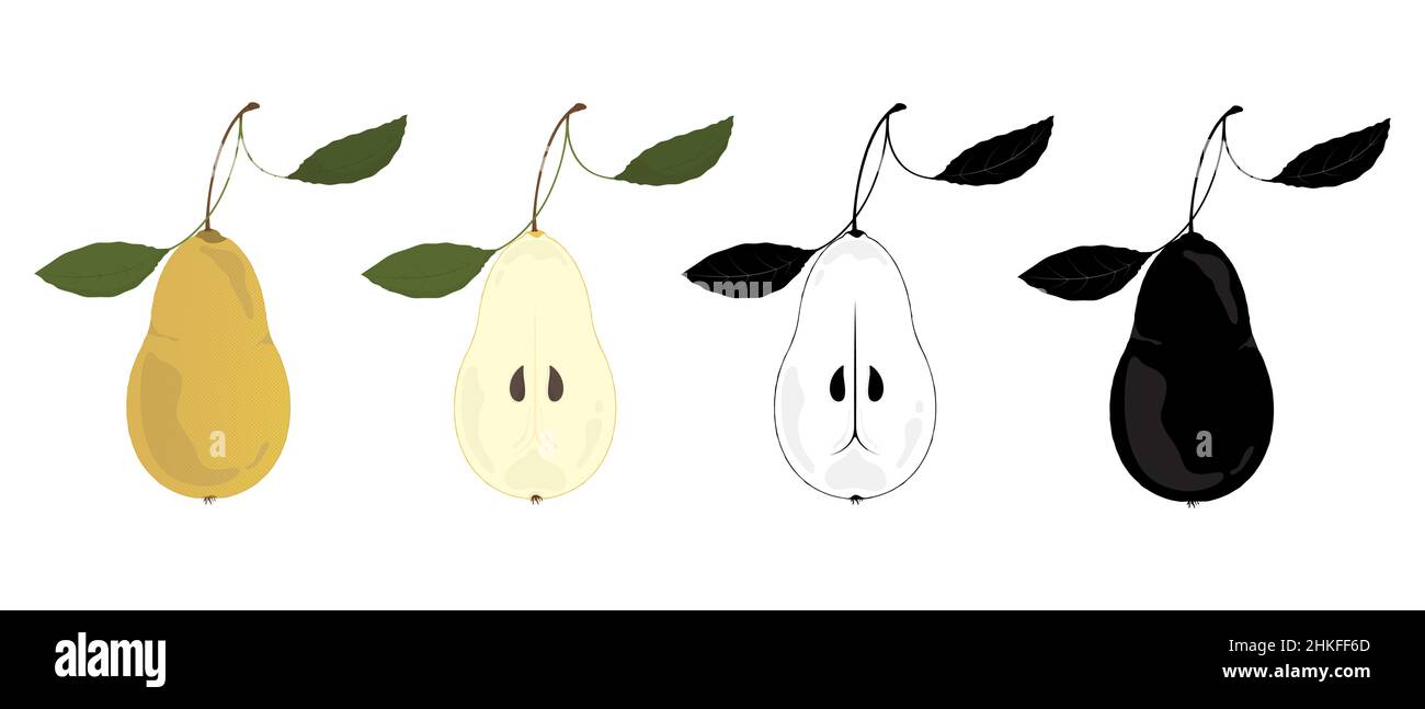 Pera en dos versiones - pera entera y media pera, dos tipos de color ...