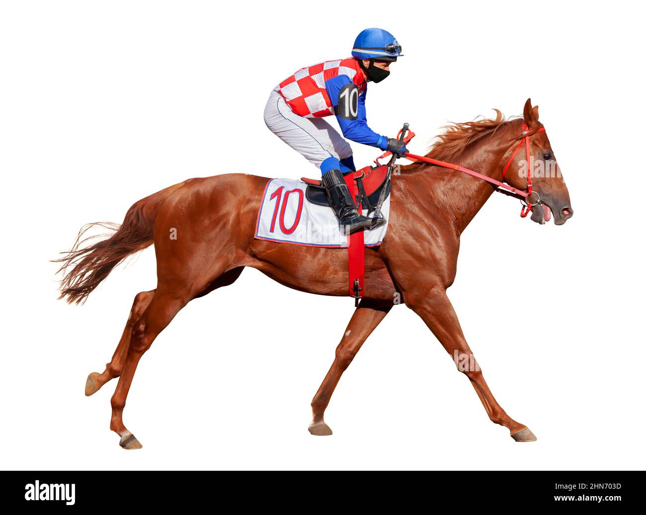 Caballo Corcoveando Con Jinete