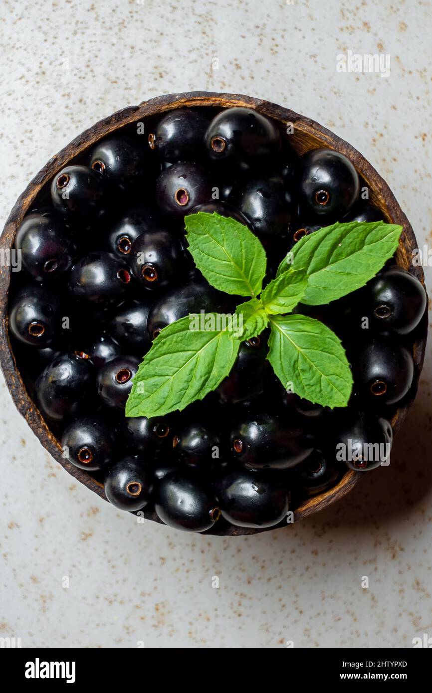 Frutos negros maduros de Syzygium cumini. Ciruela java negra oscura en ...