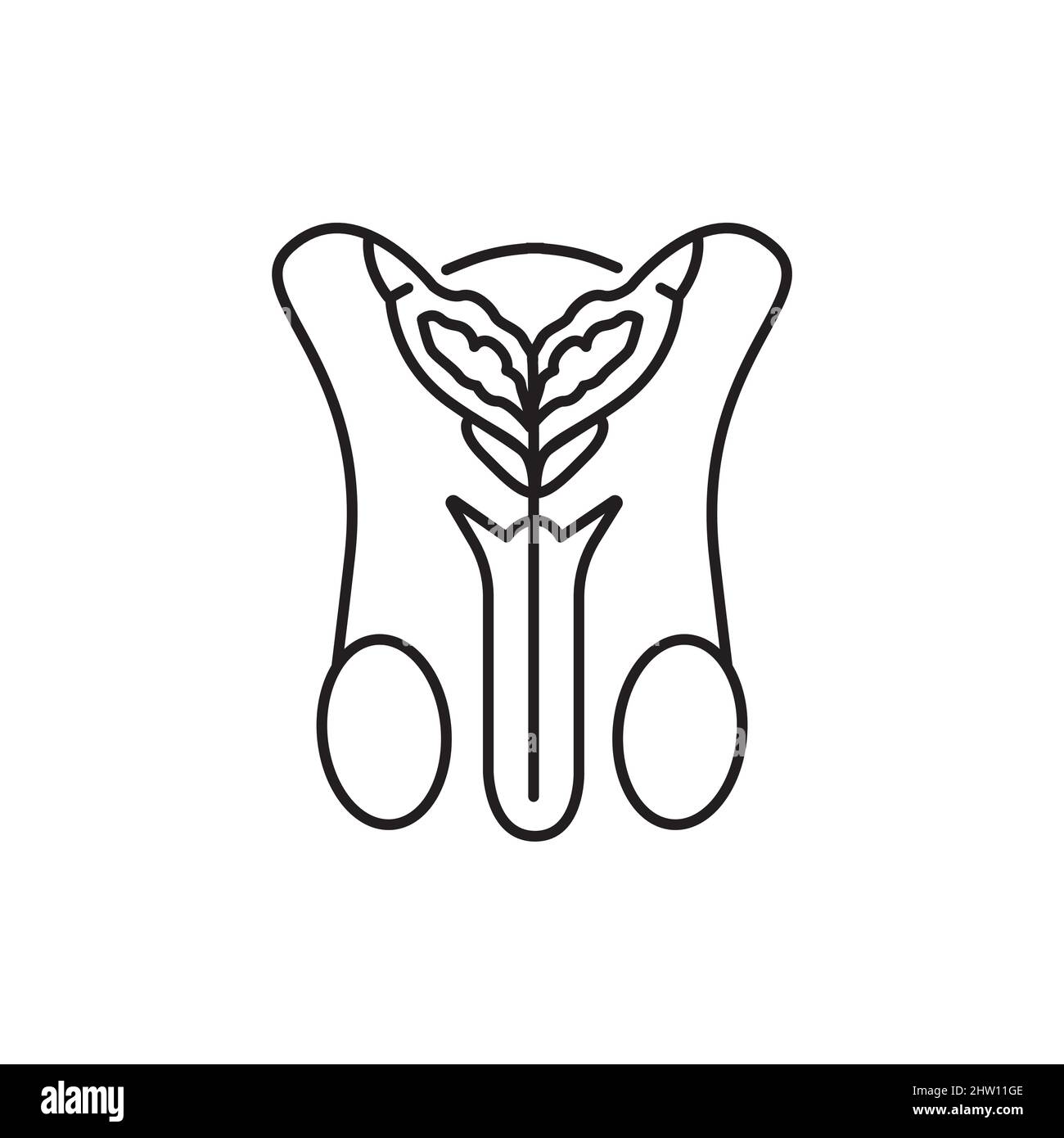 Aparato Reproductor Femenino Blanco Y Negro