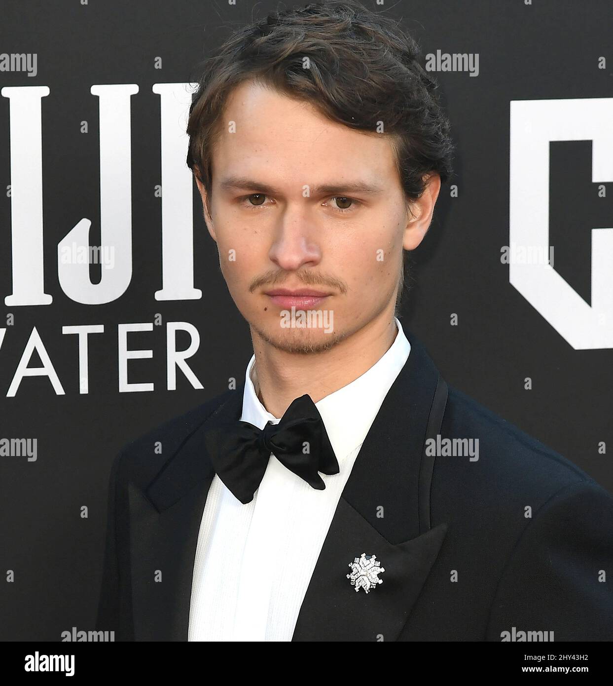 Ansel Elgort En Blanco Y Negro