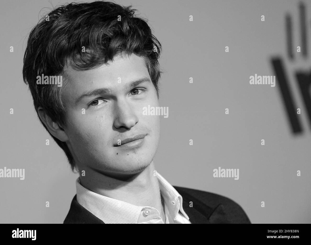 Ansel Elgort En Blanco Y Negro