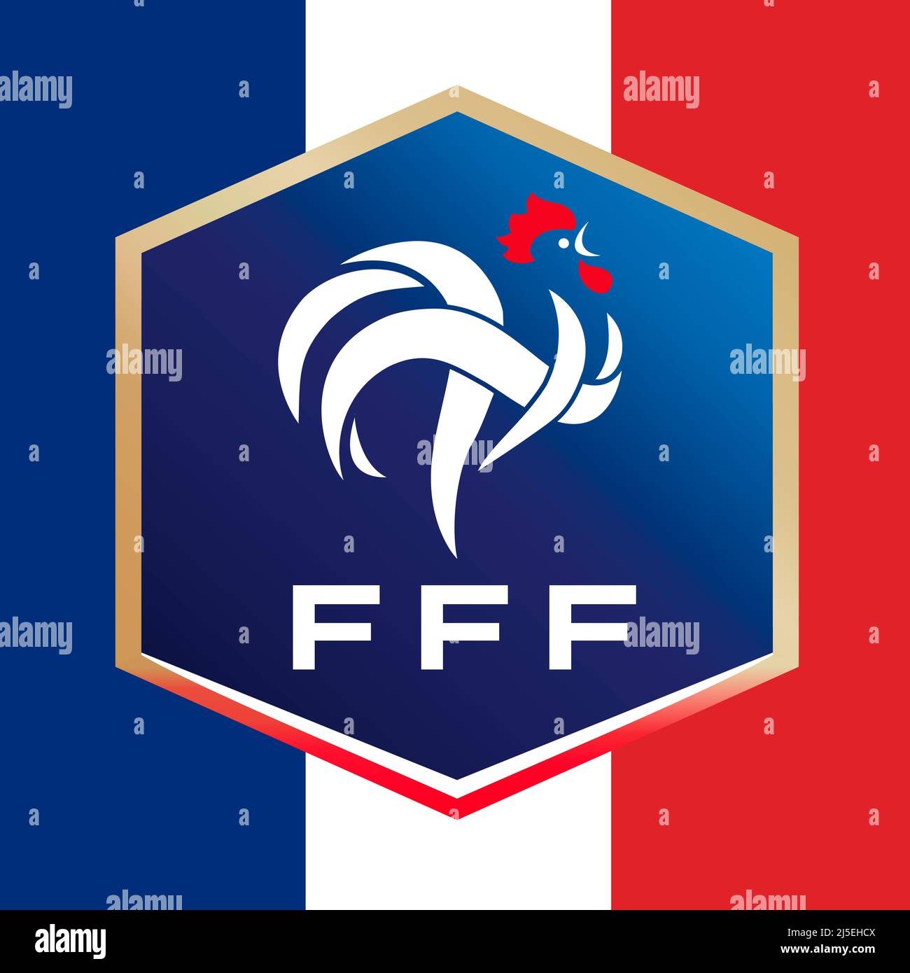 Logotipo De La Federación De Fútbol De Francia Con Bandera Nacional
