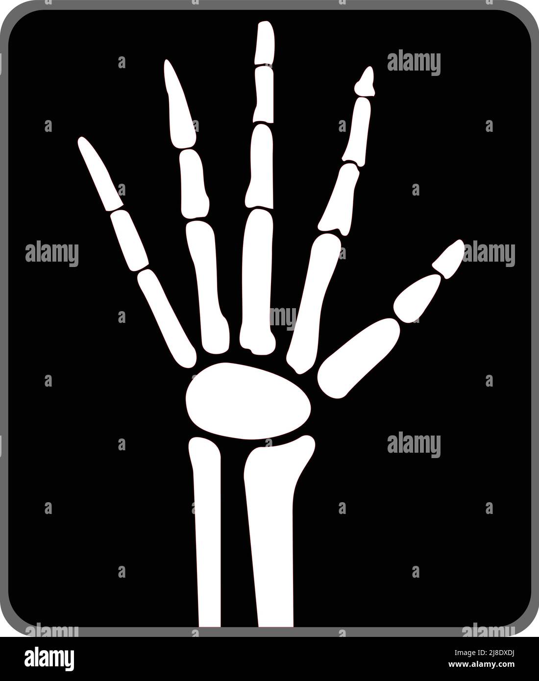 Imagen Del Icono De Rayos X En Blanco Y Negro Imagen Vector De Stock