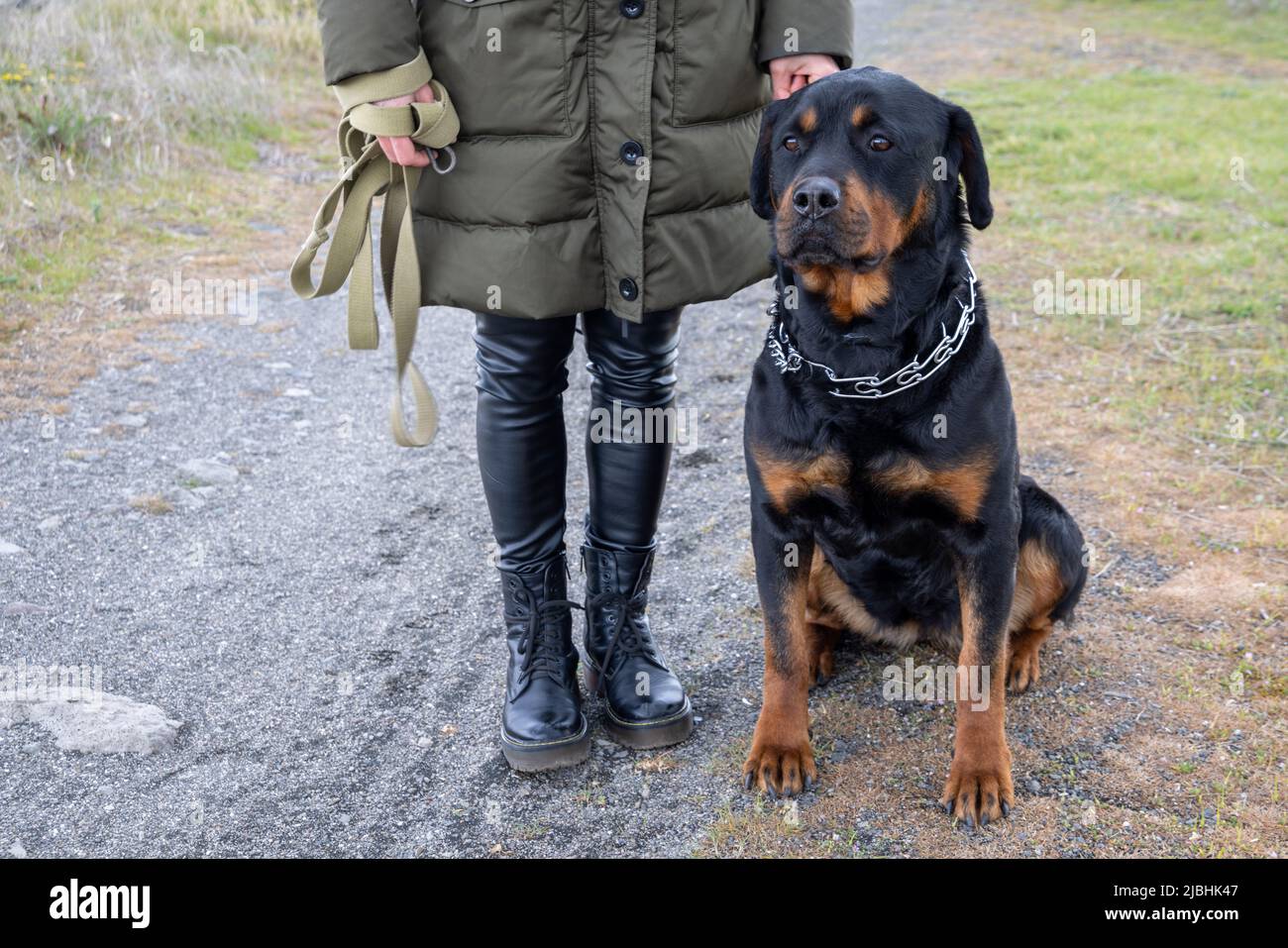 Los Rottweiler Son Buenos Perros De Caza