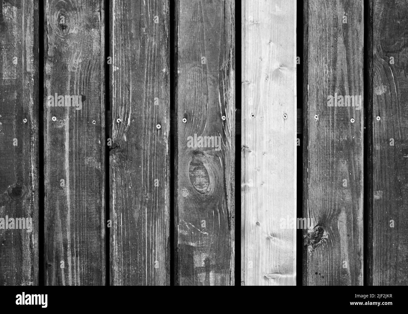 Fondo Blanco Textura