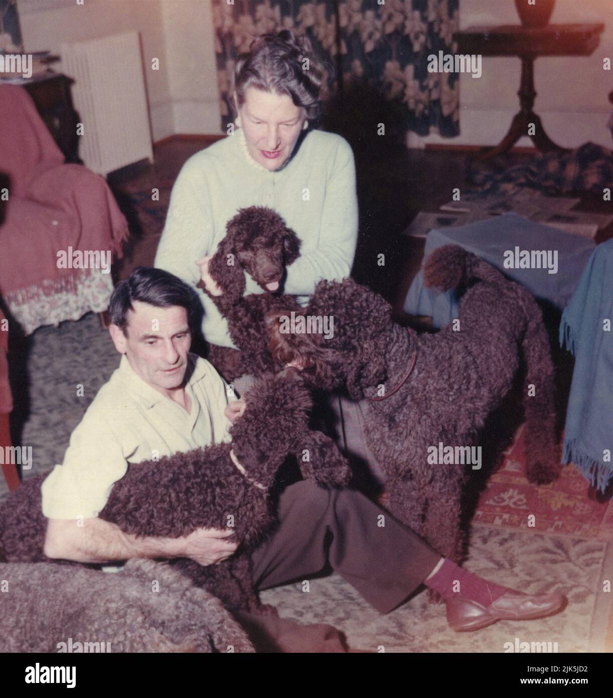 Virginia Hall Goillot Obituary at Bev Wood blog