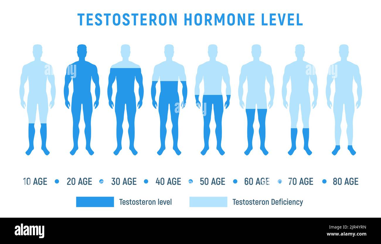 Nivel De Testosterona Masculina - FDPLEARN