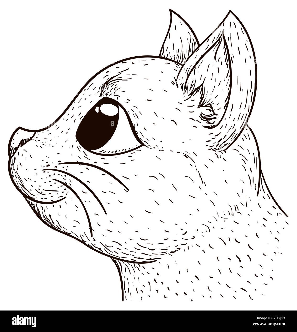 Gato De Perfil Dibujo Fotografías E Imágenes De Alta Resolución Alamy