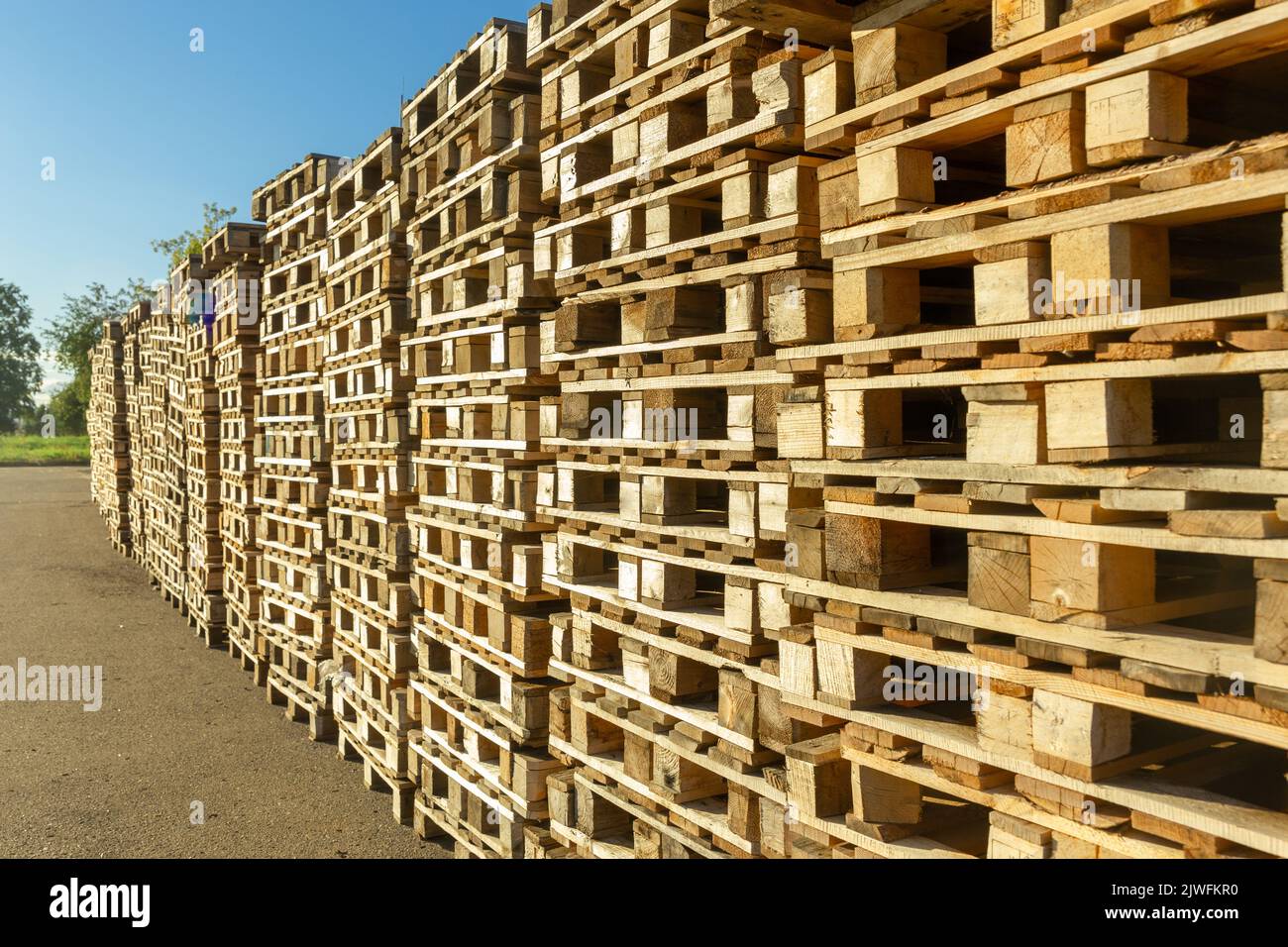 Fabrica Pallets De Madera at Declan Fell blog