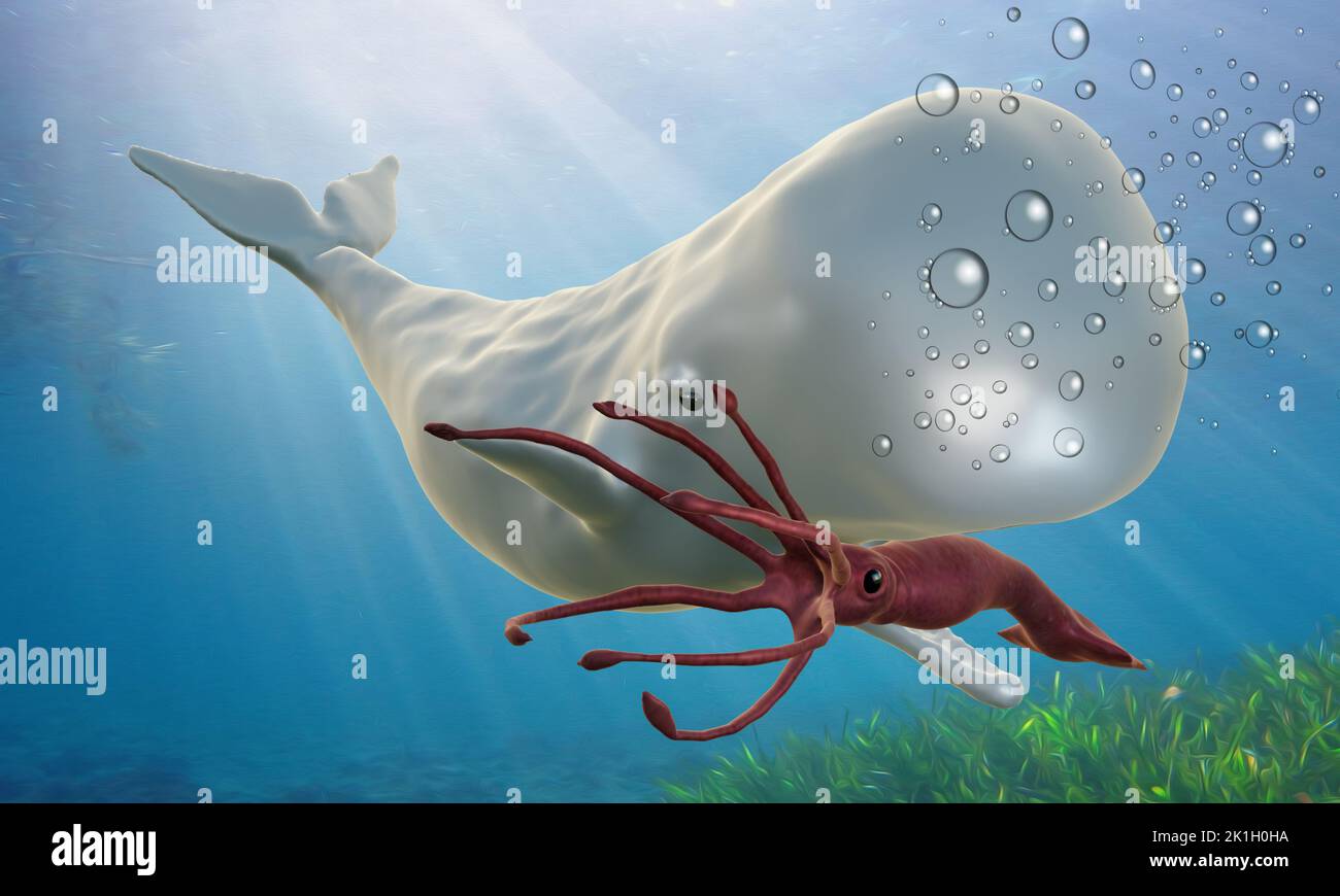 Calamar Gigante Vs Cachalote