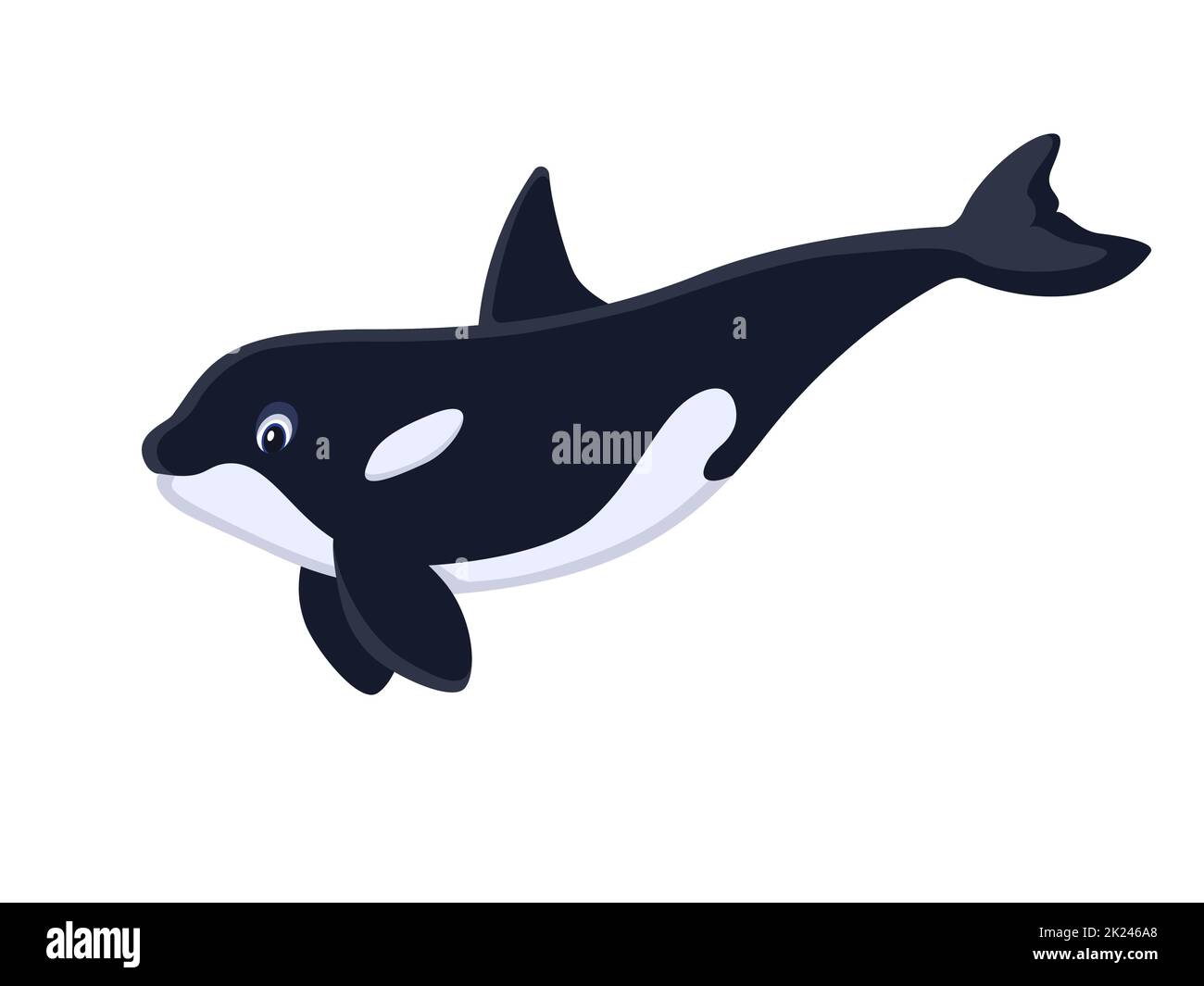 Ballena Azul Blanco Y Negro