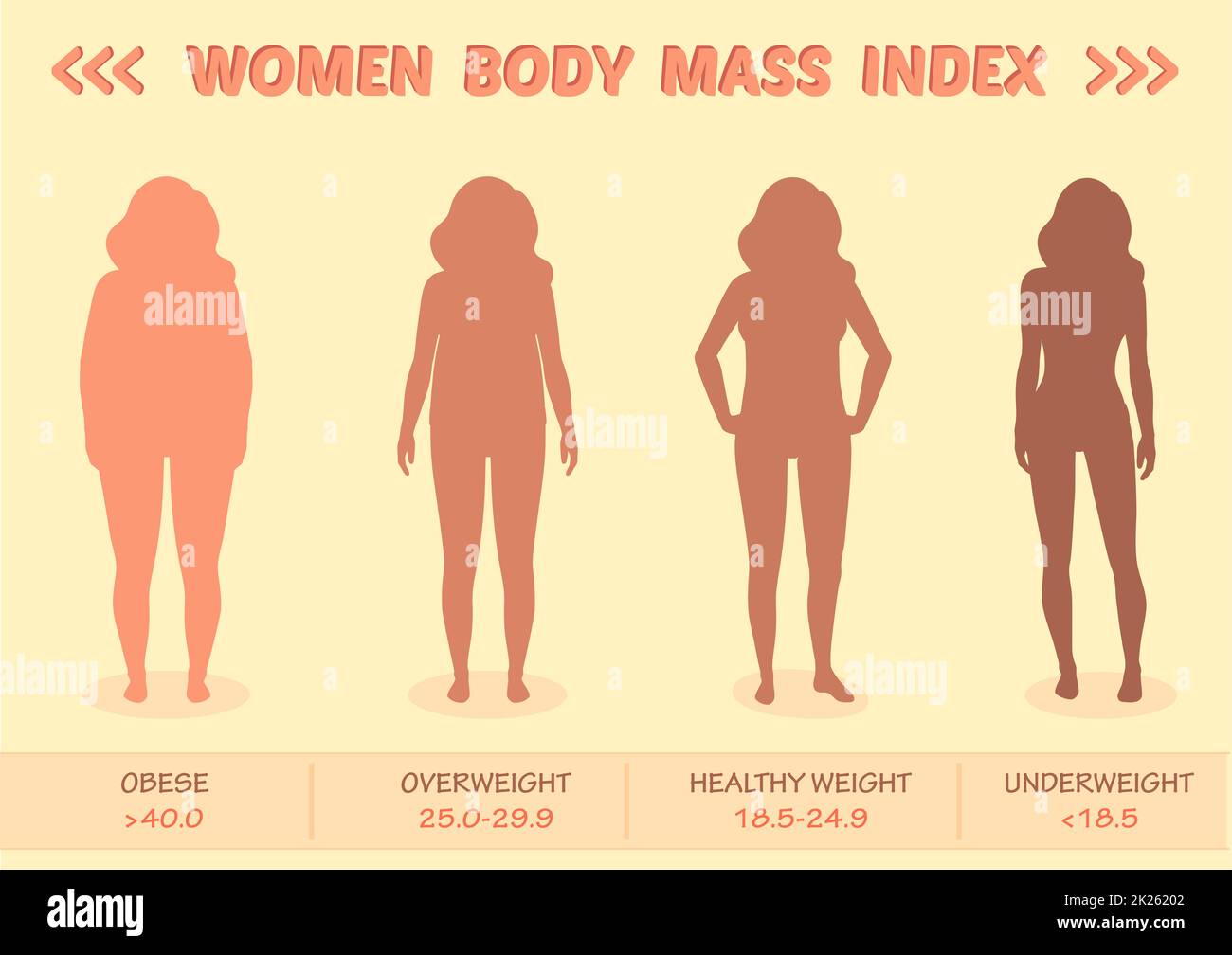 Tabla De Clasificación Imc Medida Mujer Infografía Del