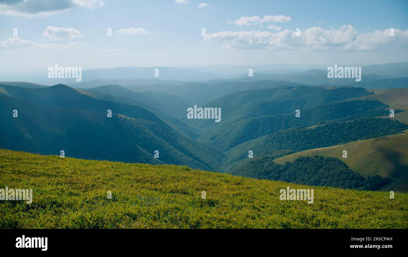 Green aesthetic fotografías e imágenes de alta resolución - Alamy