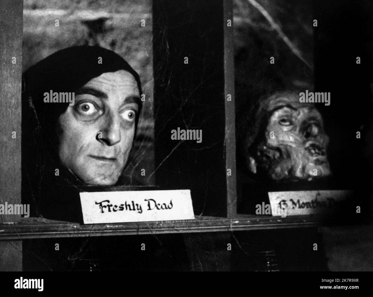 Young Frankenstein Igor