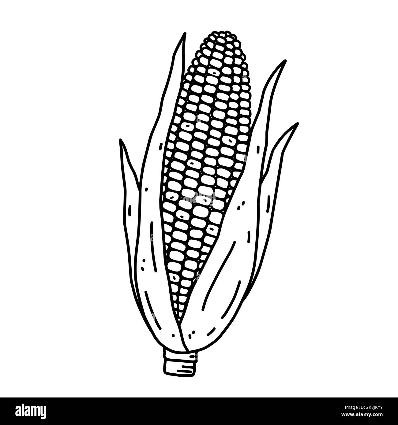 Dibujo De Mazorca De Maíz Para Colorear
