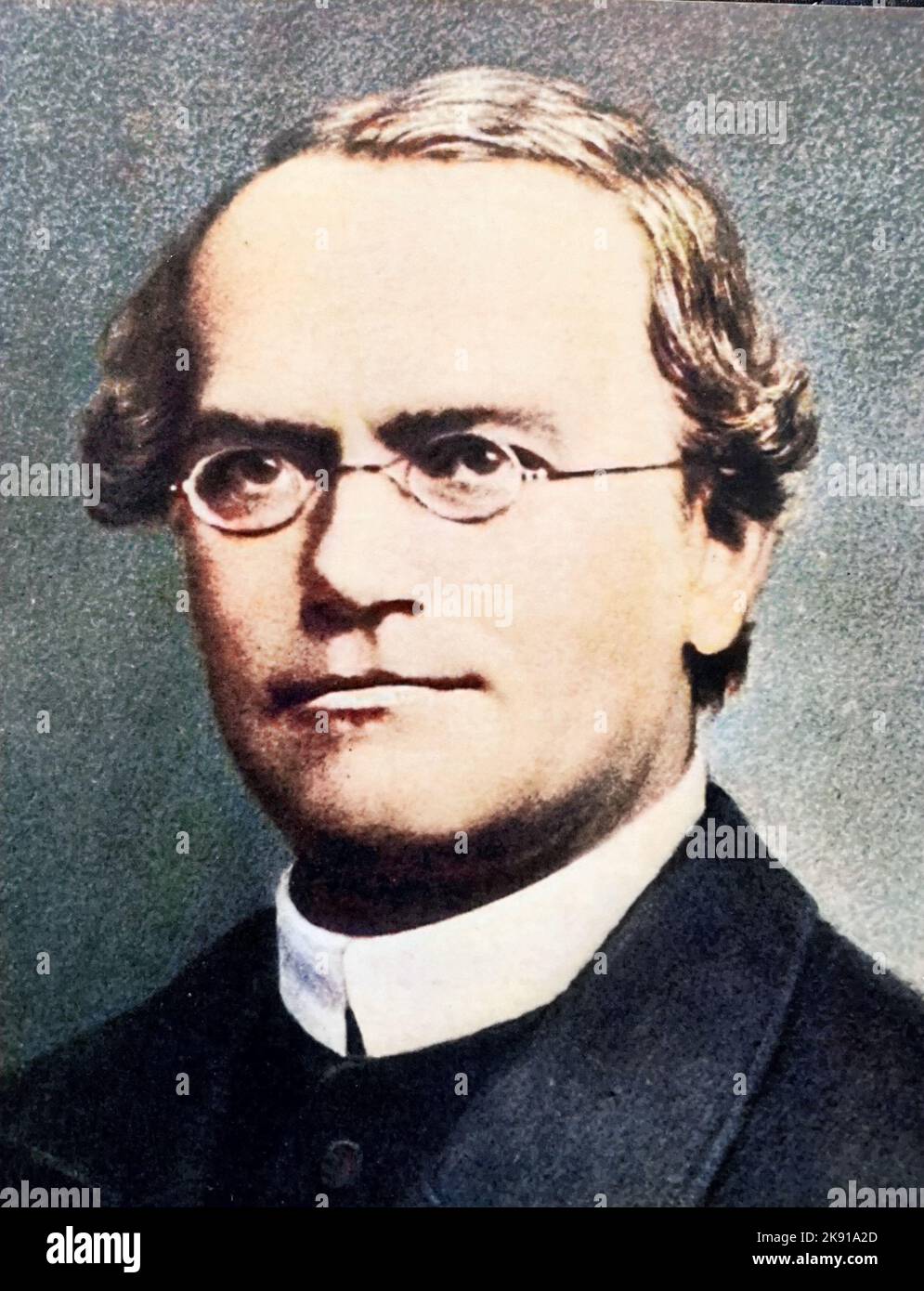 GREGOR MENDEL (1822-1884) fraile agustino, biólogo y matemático ...