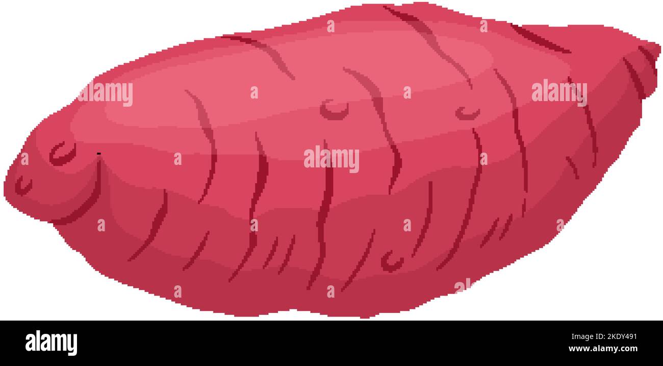 Vector De Dibujos Animados De Batata