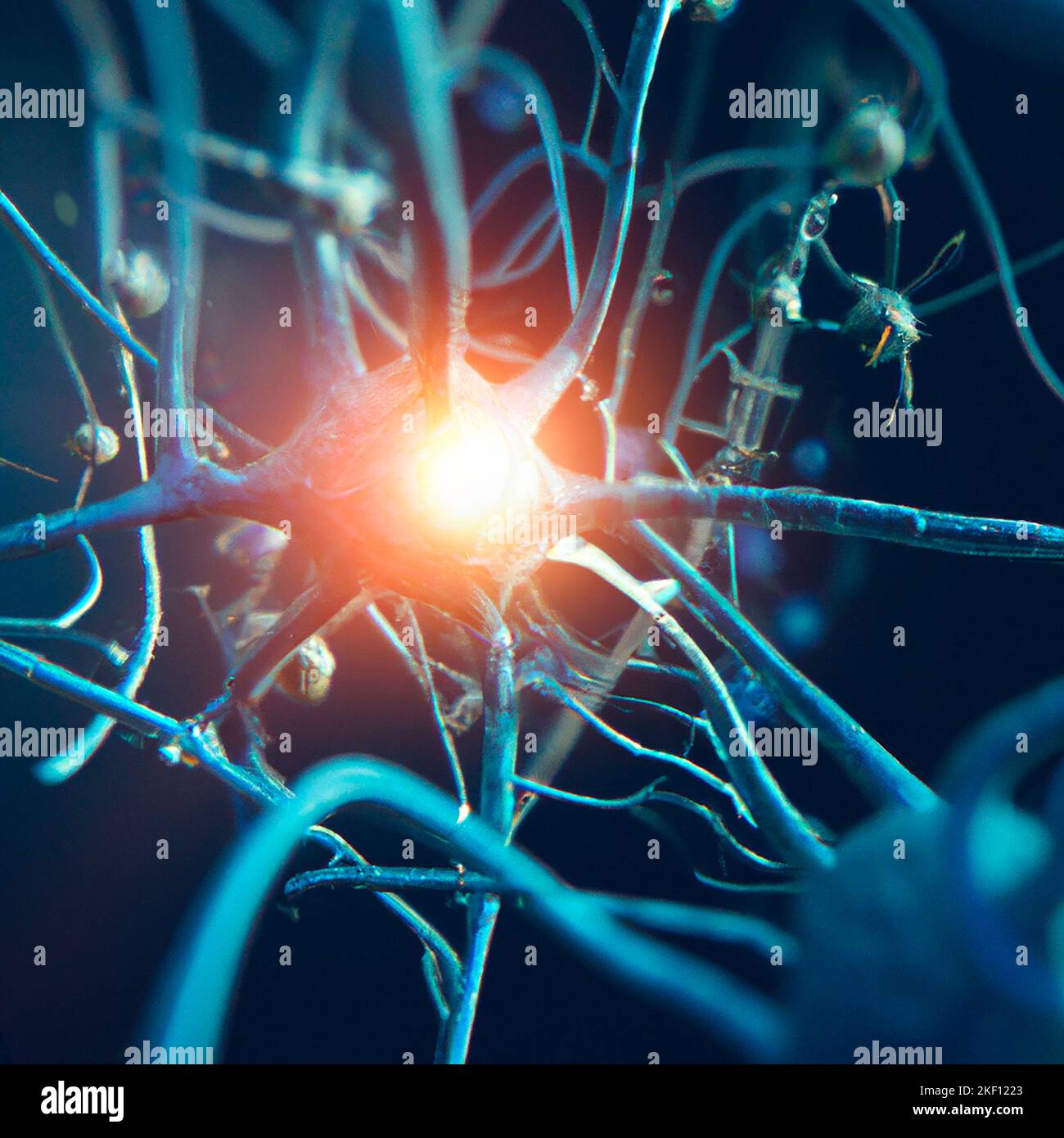 21 Neuronas De La Sinapsis Cerebral