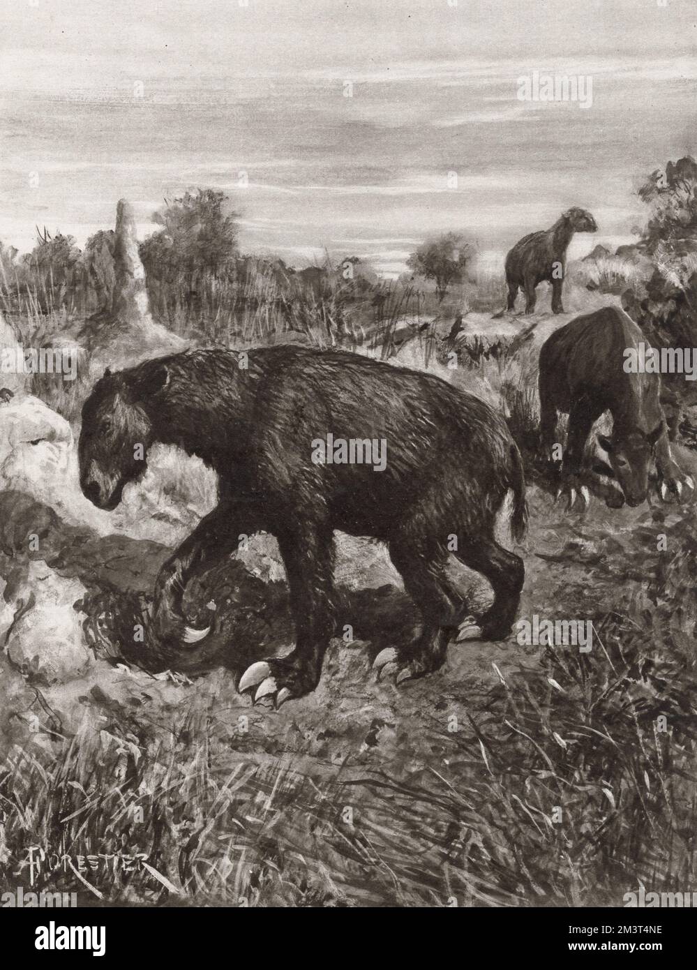 Animali del mondo preistorico fotografías e imágenes de alta resolución ...