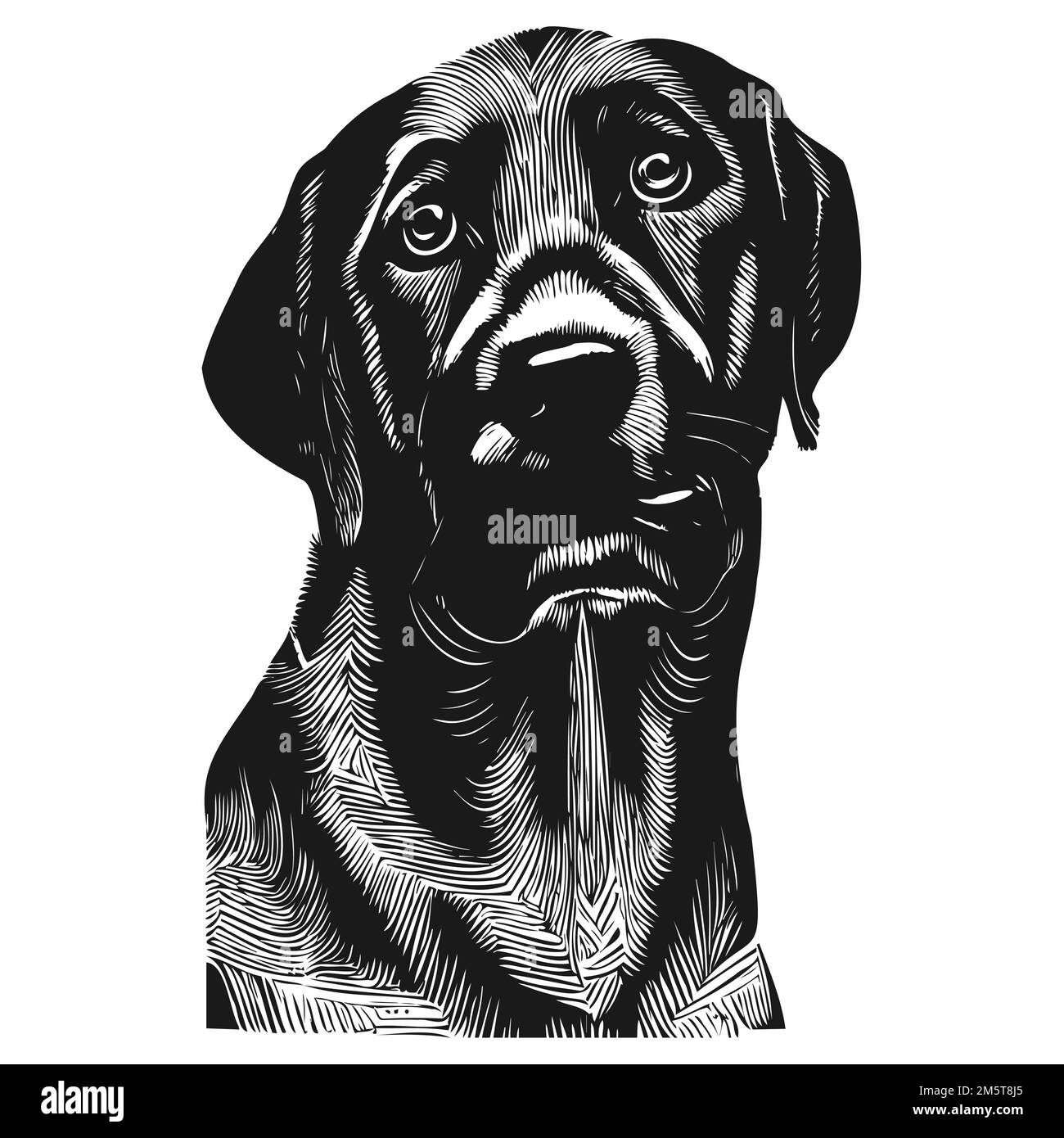 Black labrador Imágenes vectoriales de stock - Alamy