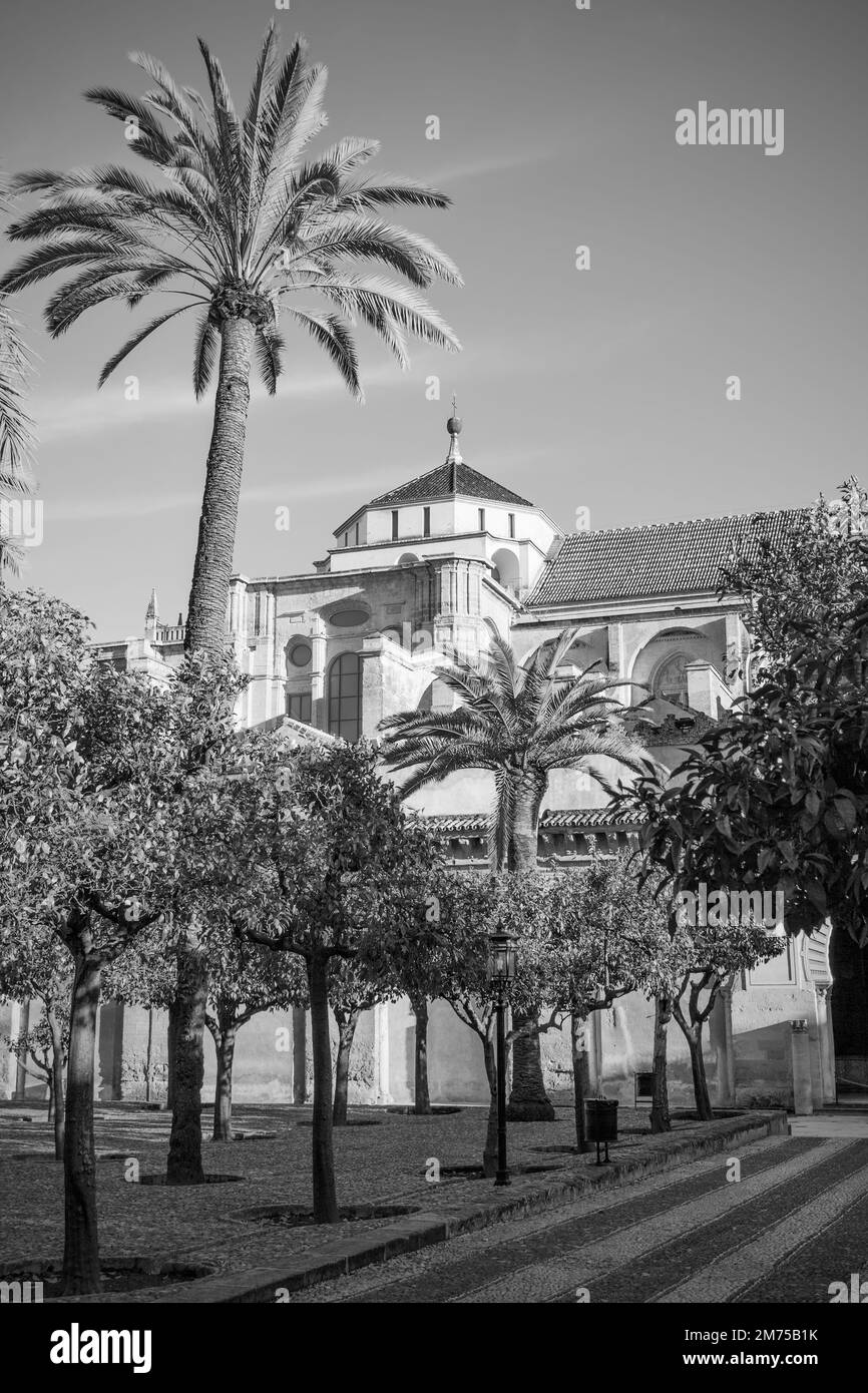 Mezquita En Blanco Y Negro Fotografías E Imágenes De Alta Resolución Alamy