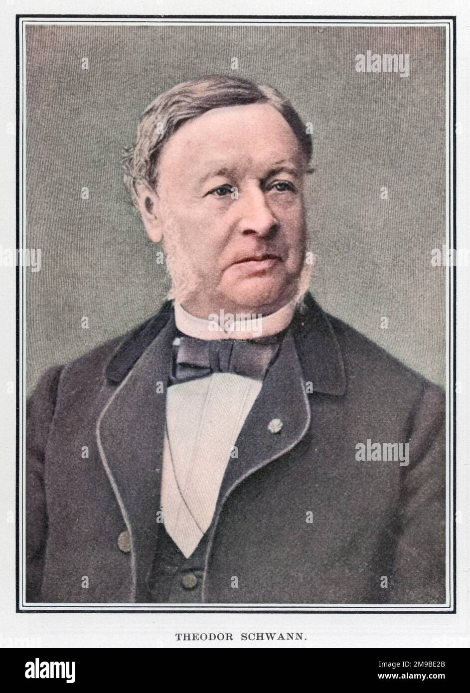 Teoria Celular De Theodor Schwann