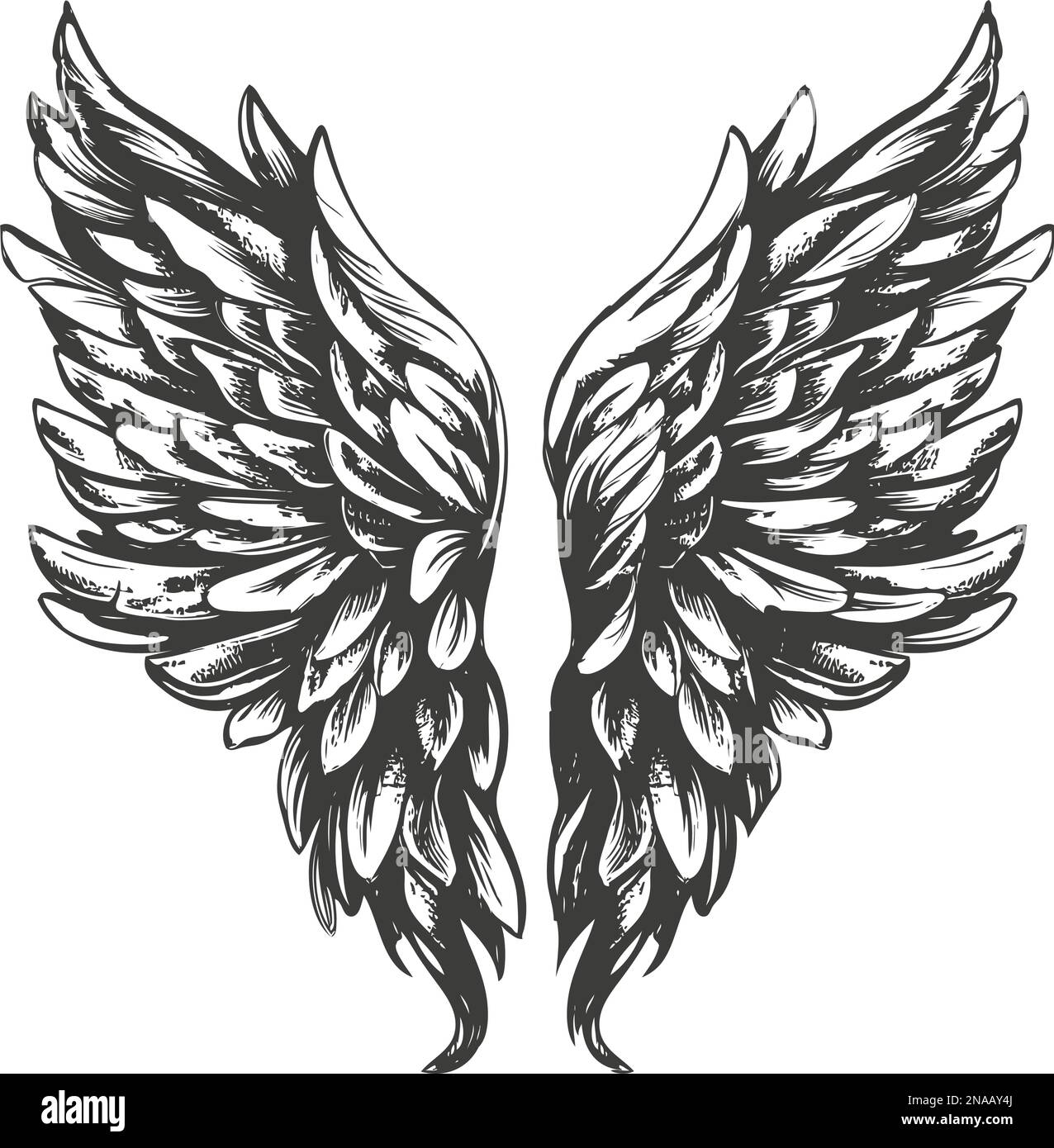 Cómo Dibujar Alas De ángel Realistas