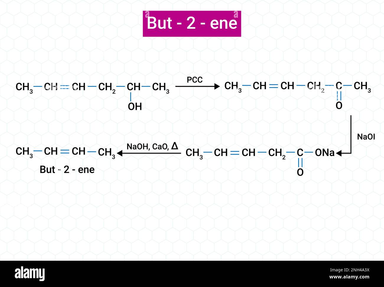 Amina Quimica Biologique