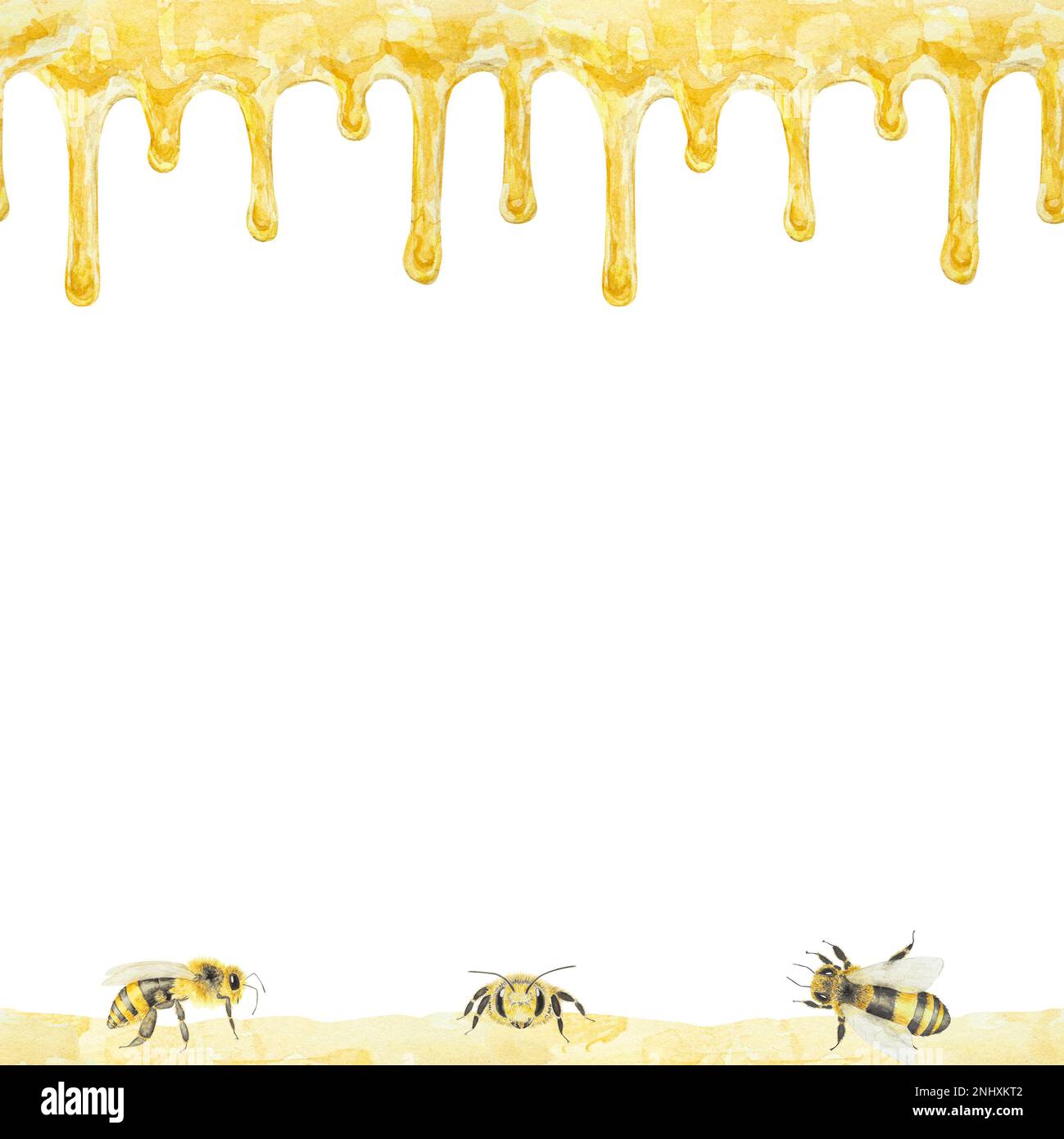 Diseños De Abejas De Miel Para Imprimir