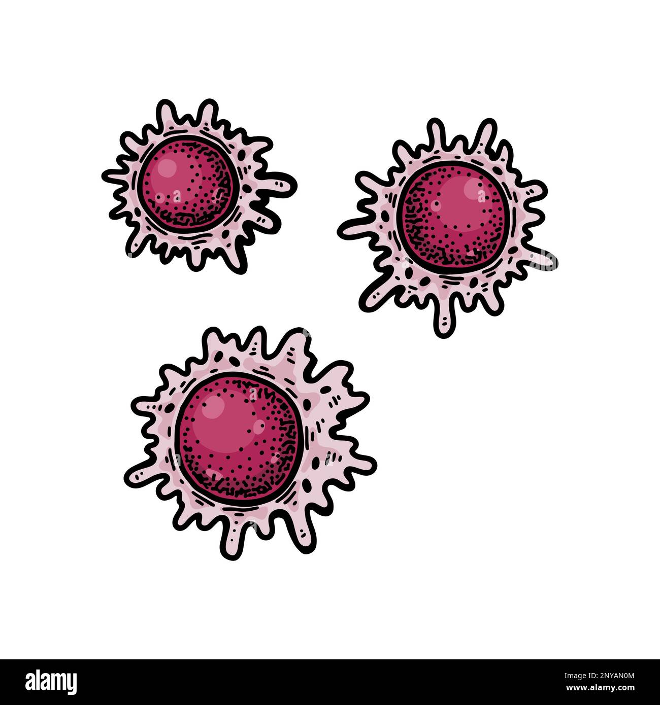 Diagrama De Macrófagos