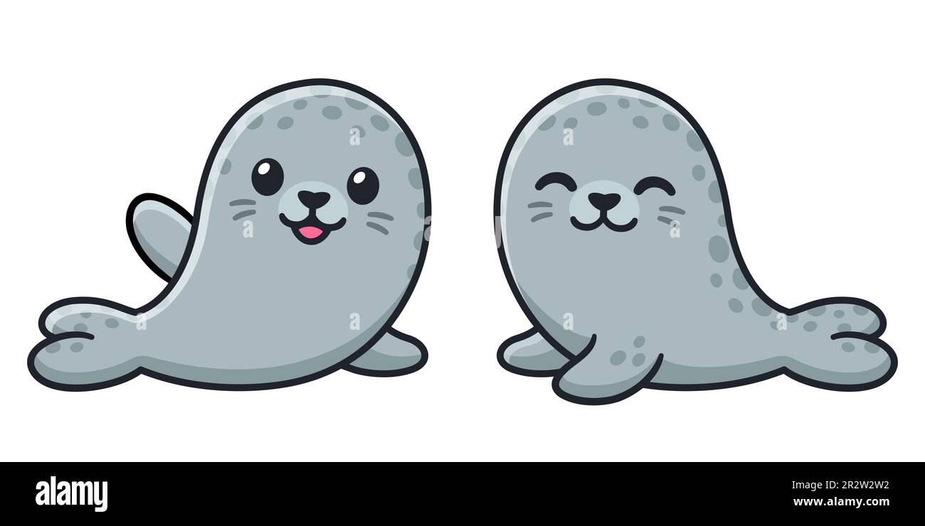 Foca Comune Neonata