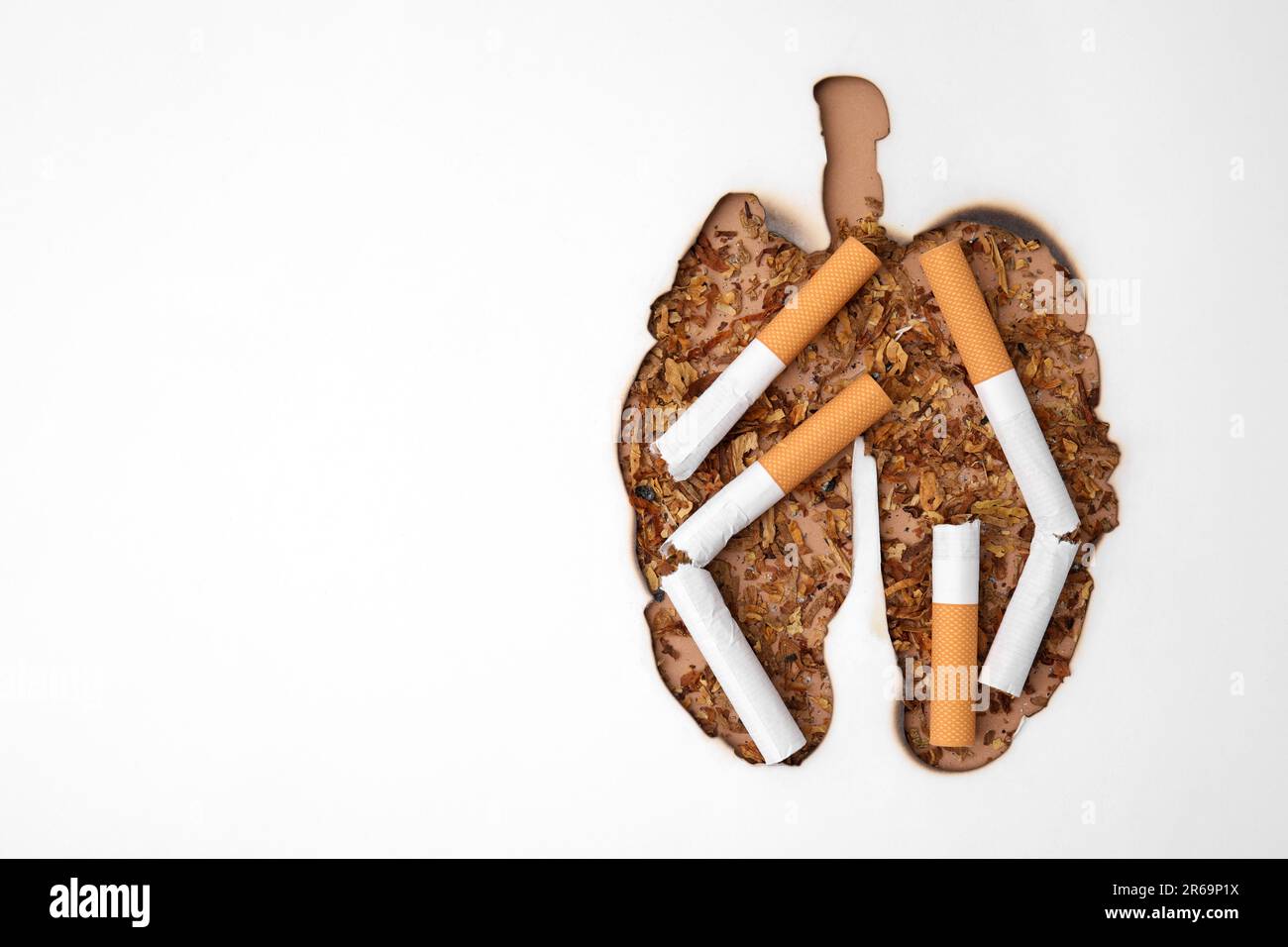 No fumar concepto. Vista superior del tabaco seco y los cigarrillos a ... No fumar concepto. Vista superior del tabaco seco y los cigarrillos a ...