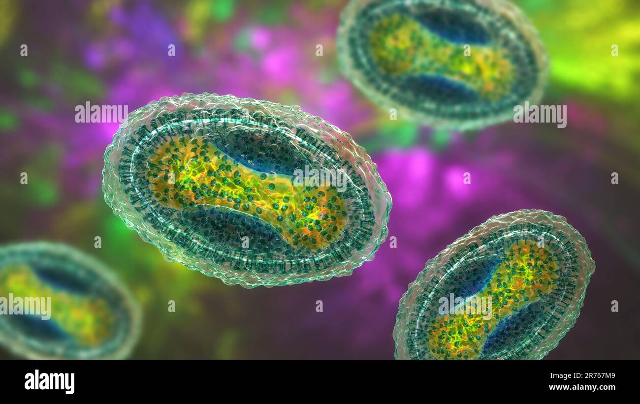 Virus del molusco contagioso, ilustración de computadora. Un virus de ... Virus del molusco contagioso, ilustración de computadora. Un virus de ...