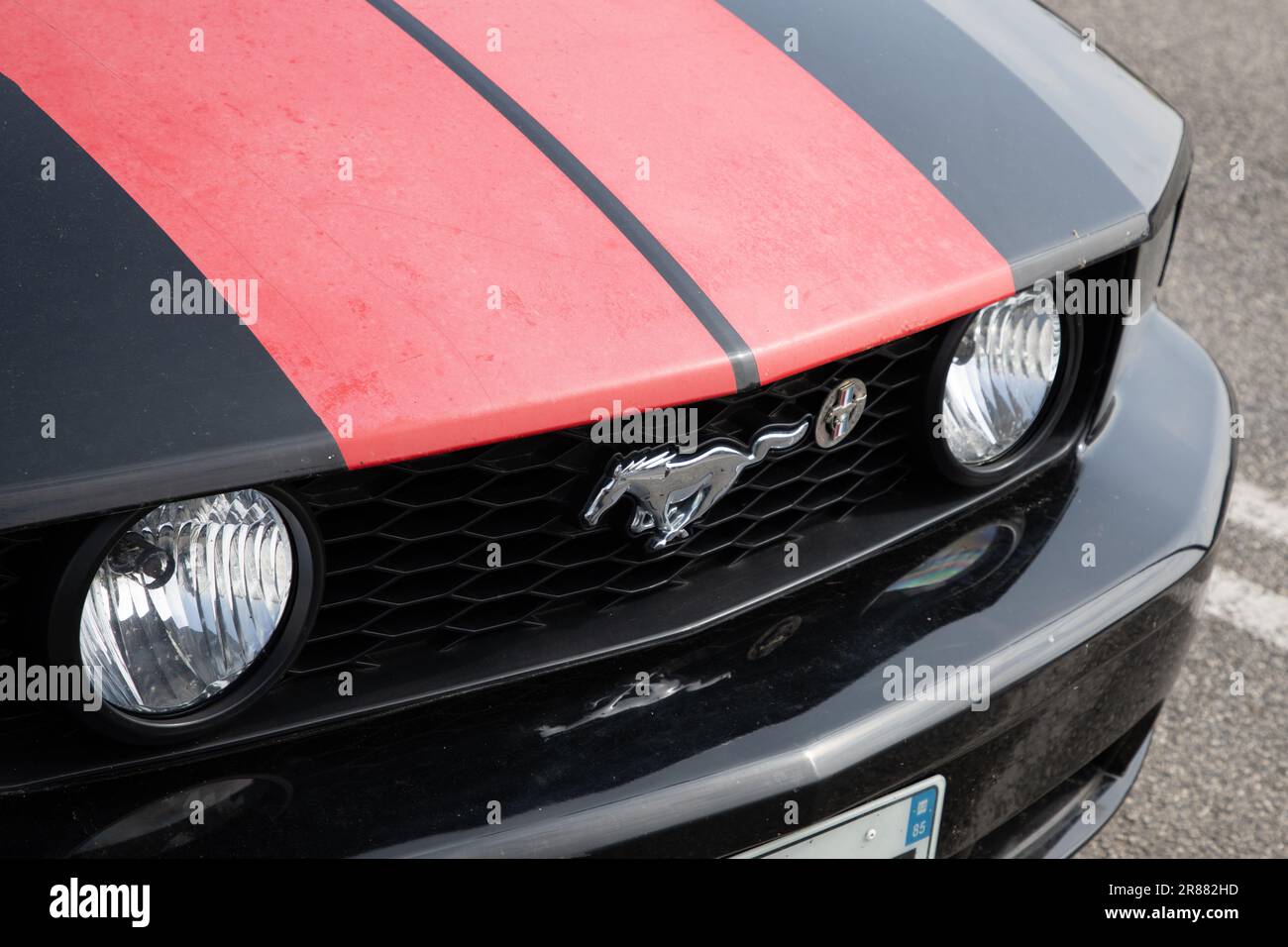 Historia Del Logotipo De Ford Mustang