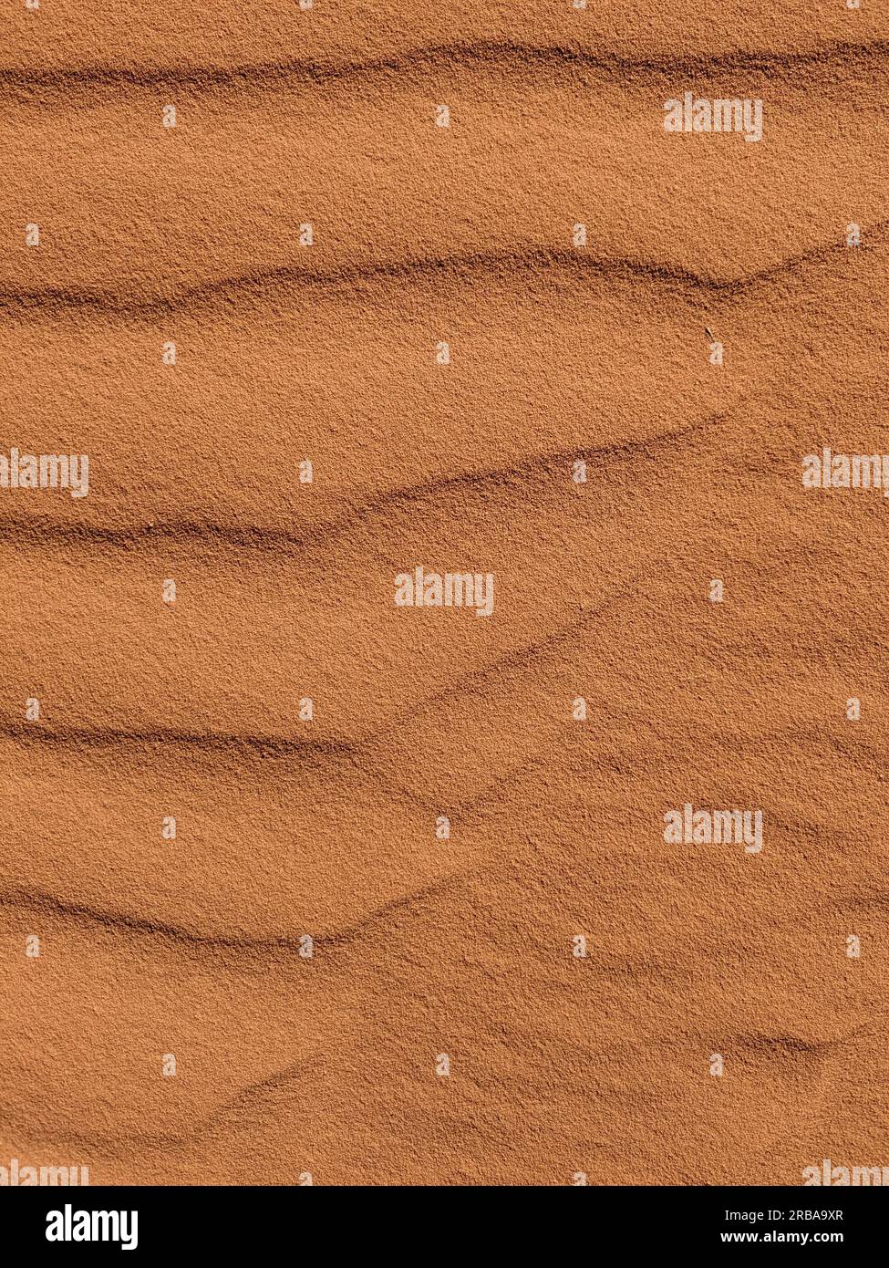 Textura De Arena Roja Del Desierto