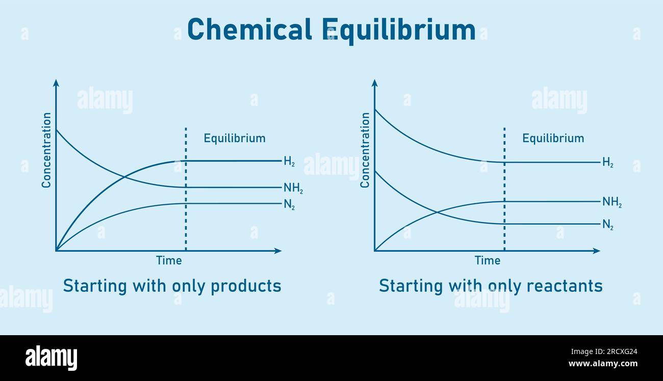 Estado De Equilibrio Químico En Reacción Gráfico De Concentración De
