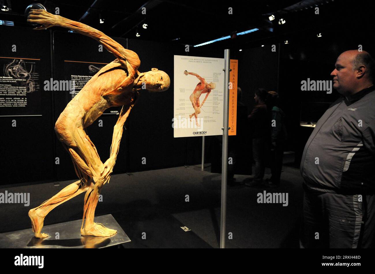 Real human bodies fotografías e imágenes de alta resolución - Alamy
