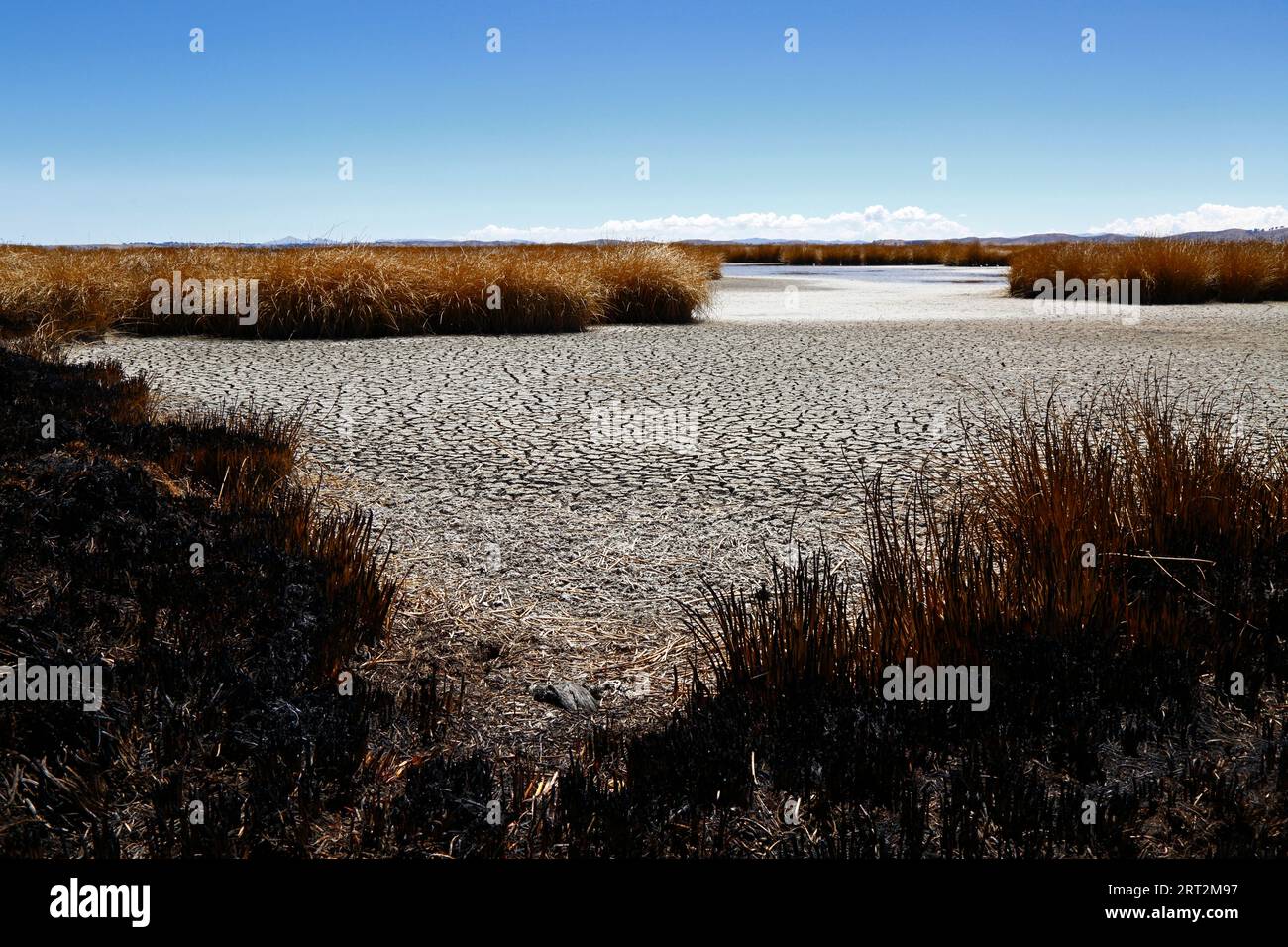 Pequeña Mezcla 2023