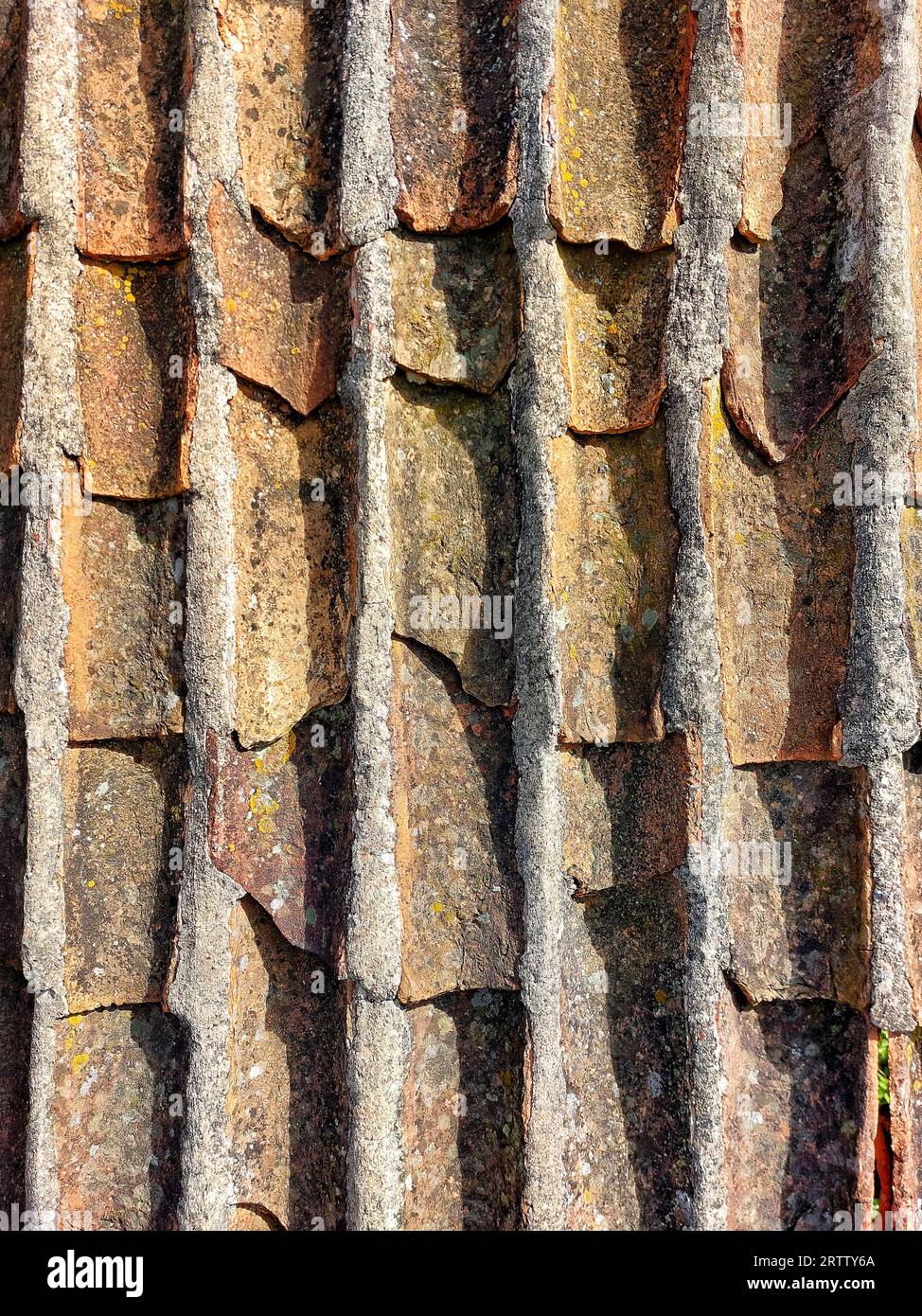 Técnicas De Textura De Techo