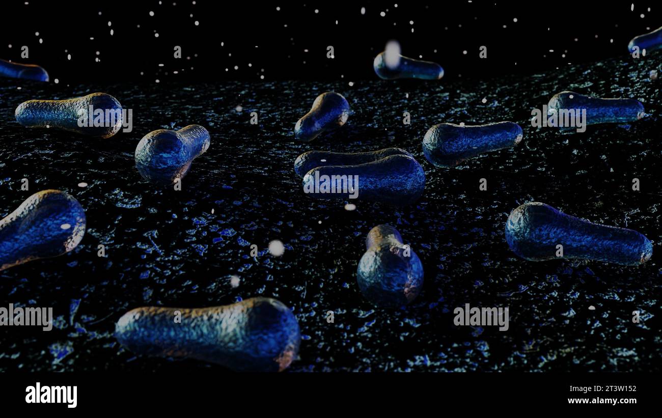 Clostridium Botulinum Structure Fotografías E Imágenes De Alta
