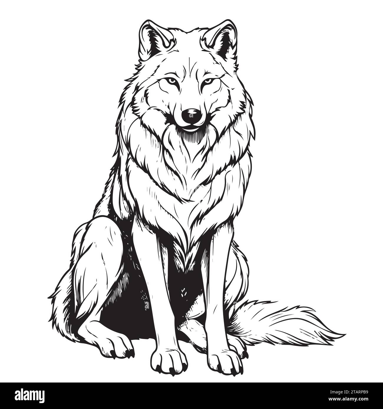 Lobo Sentado De Perfil