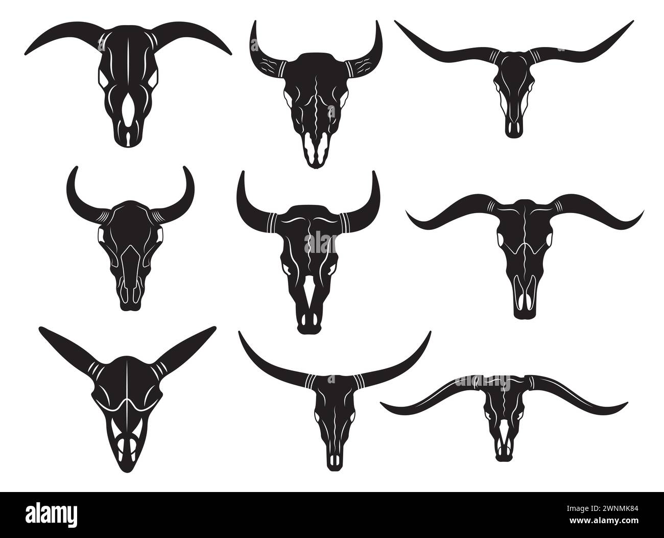 Vector del cráneo del toro, paquete del cráneo del toro, vector del ...