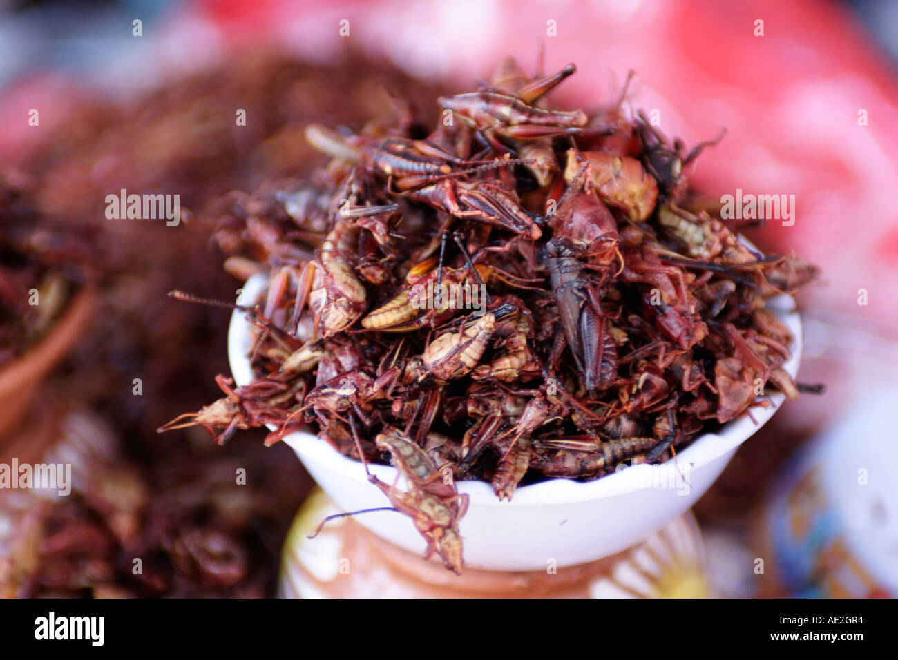 Chapulines Fritos Al Estilo Mexicano