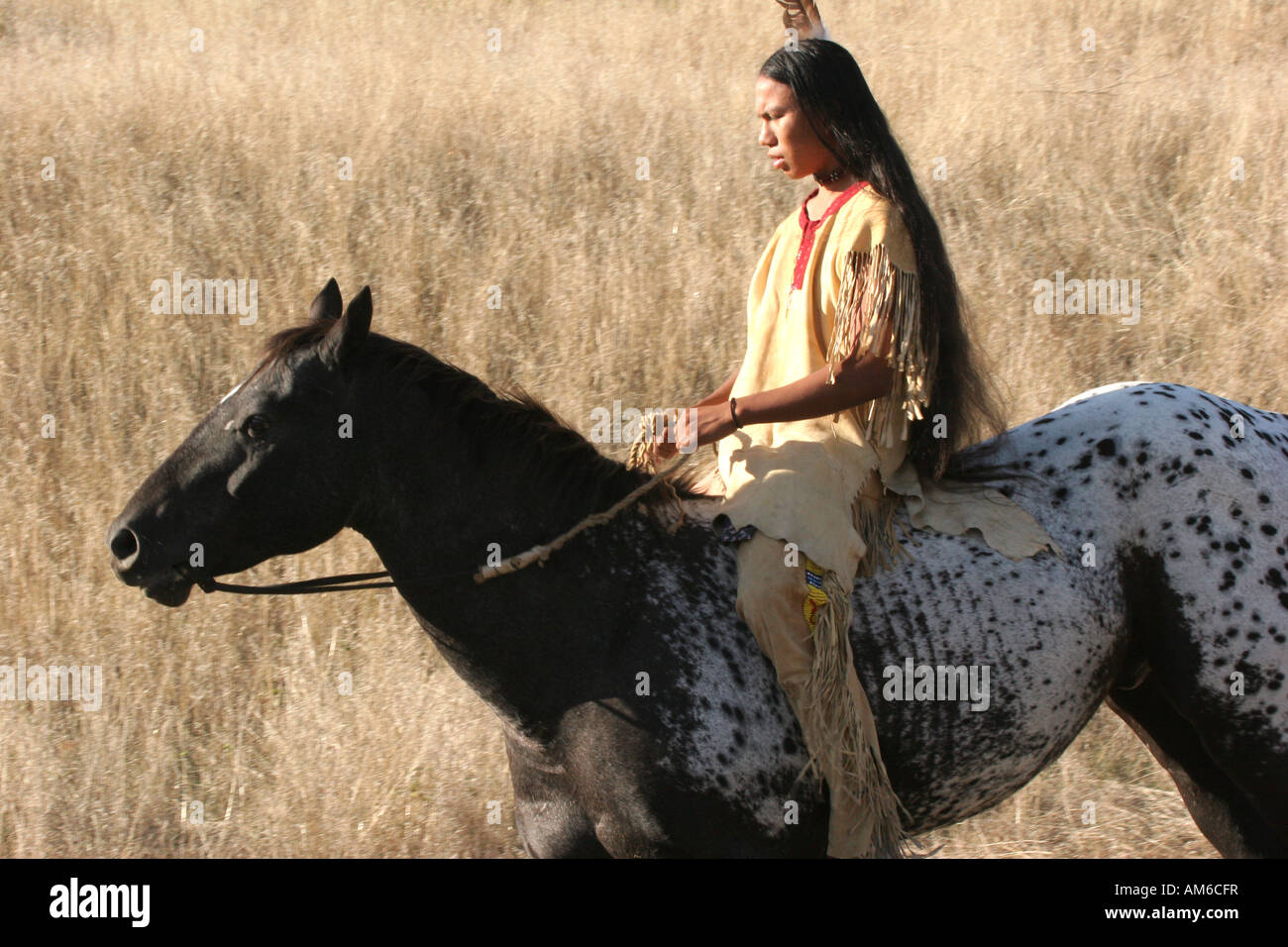 Nativo Americano A Caballo