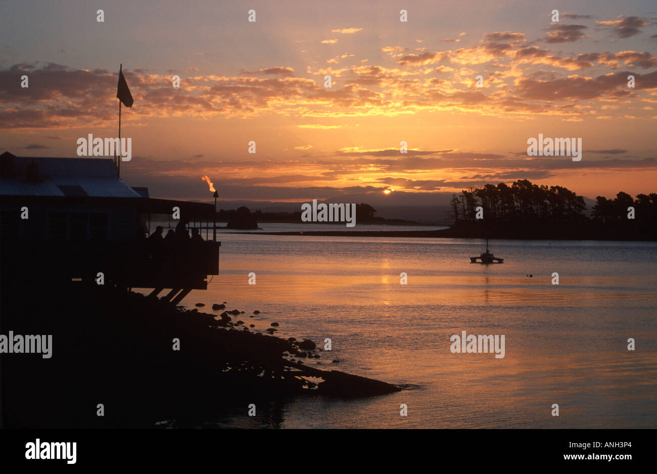 Nelson new zealand fotografías e imágenes de alta resolución - Alamy