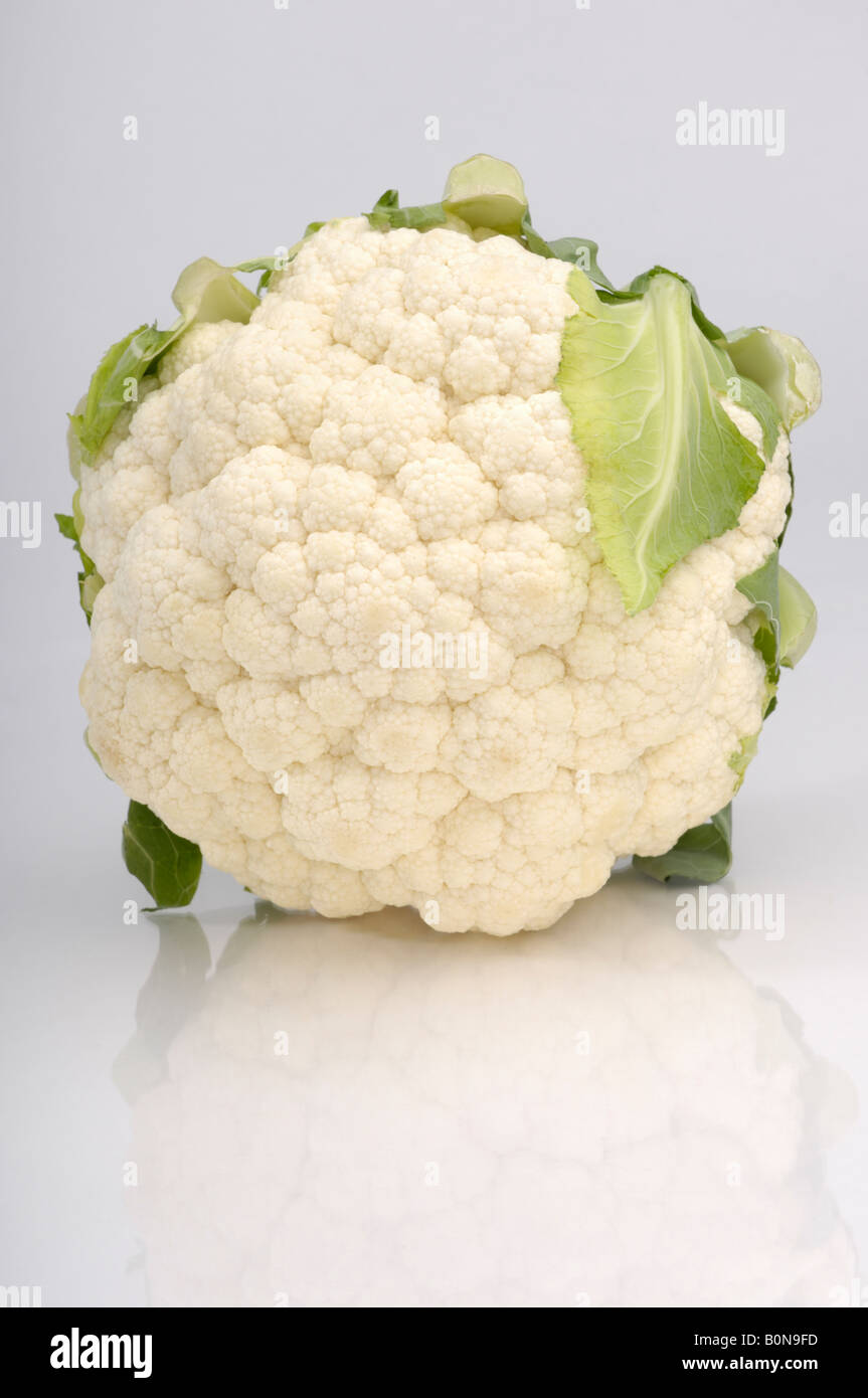 Oreja de coliflor fotografías e imágenes de alta resolución - Alamy