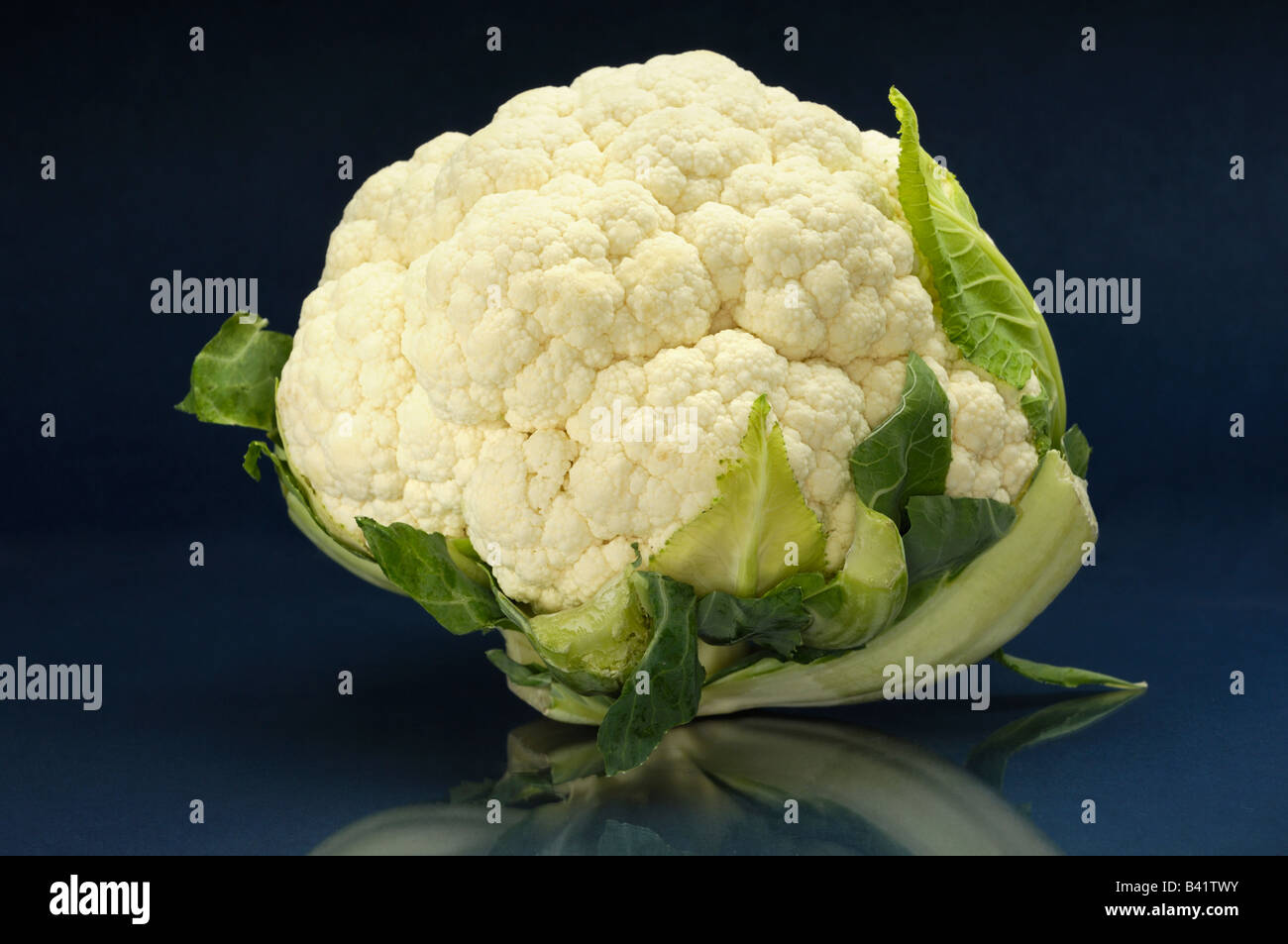 Oreja de coliflor fotografías e imágenes de alta resolución - Alamy